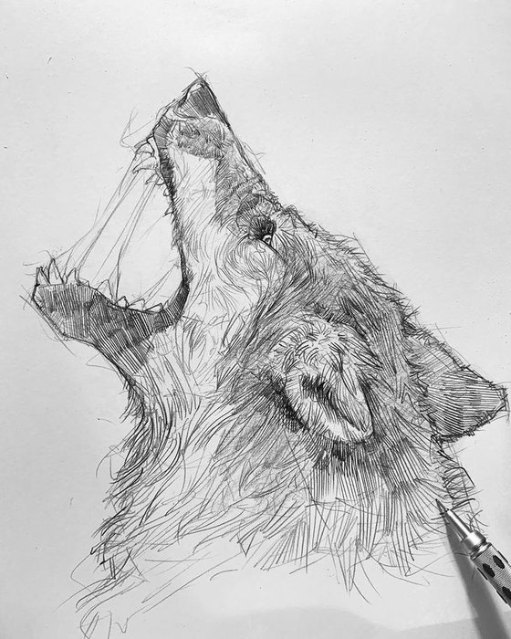 15 Amazing Pen Drawing Ideas in 2024 With Photos